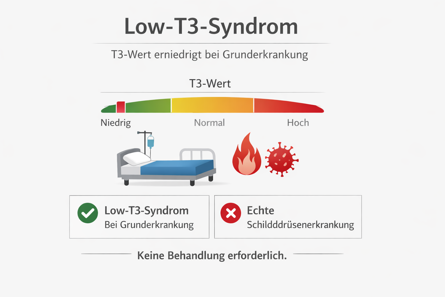Low-T3-Syndrom: Was es ist und was nicht – Revitera Schweiz